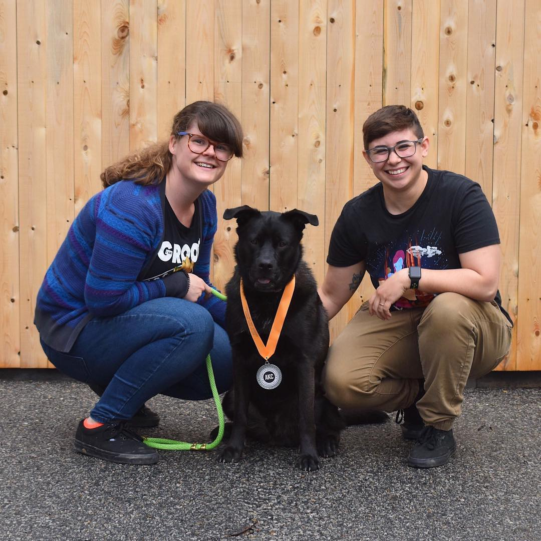 Canine Good Citizen (AKC CGC) Program - Crossbones Dog Academy
